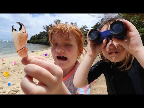 BEACH TREASURE HUNT in Hawaii ๐ Adley & Niko finding eggs, easter candy, and our new Summer Merch!!