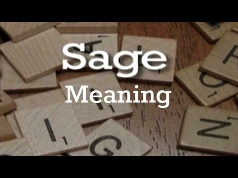 Sage Meaning | Pronunciation | Origin