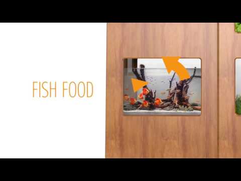Grove Case Study