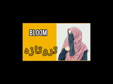 Bloom meaning