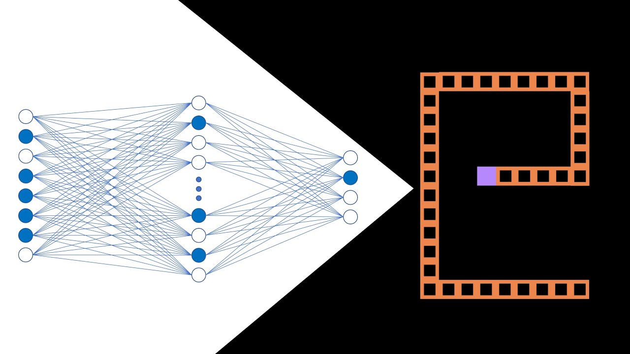 AI Learns Snake using Reinforcement Learning