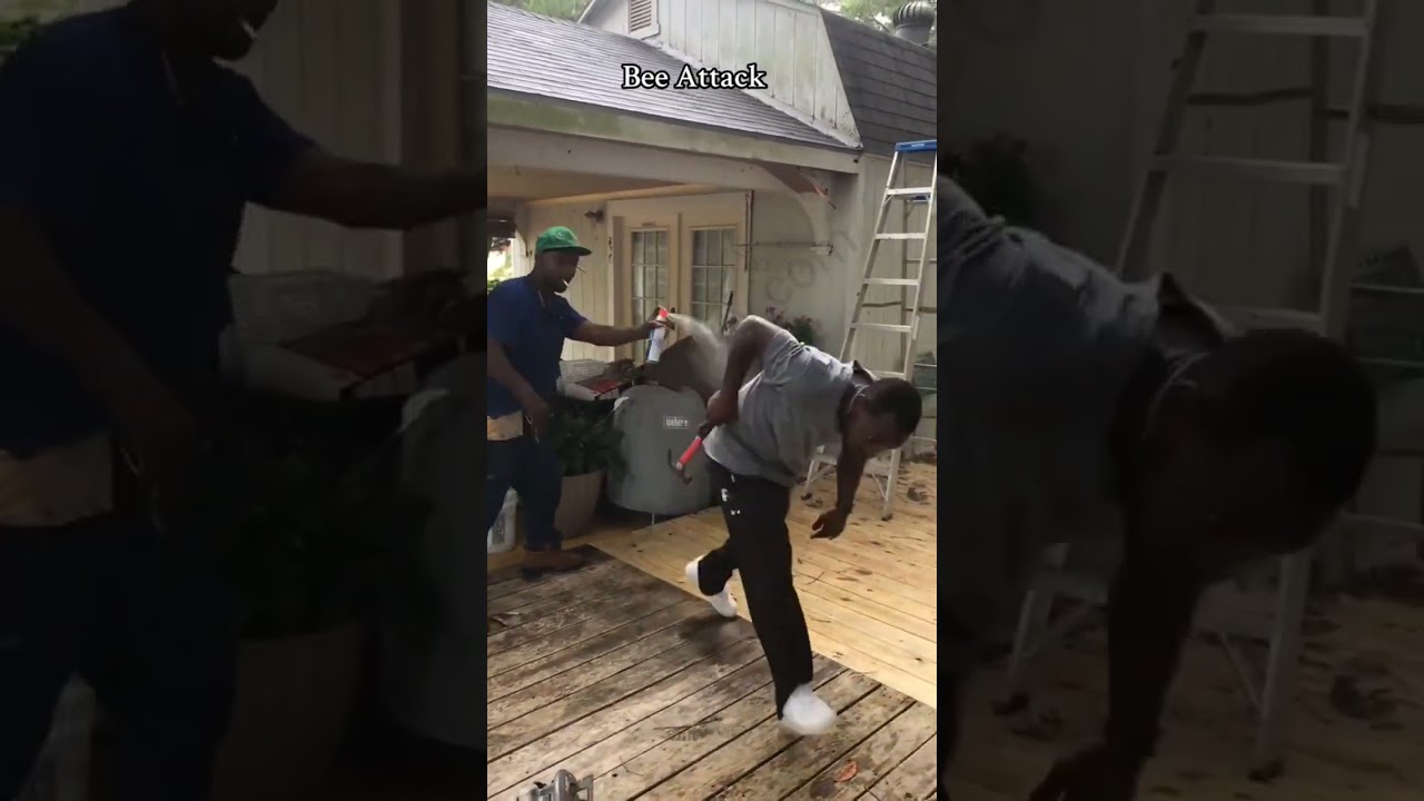 He Tried To Spray A Bee Hive And It Went Wrong