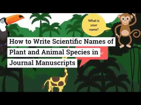 What's in a Name: Scientific Names in Research