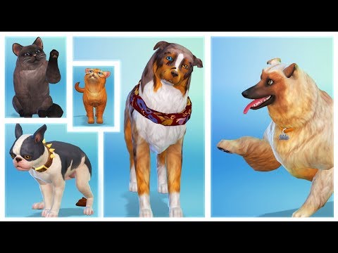Sims 4 custom traits cats and dogs - gsemailer
