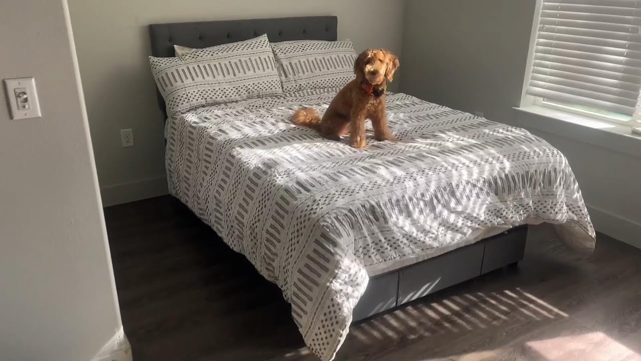 GAOMON Full Size Bed Frame with Storage