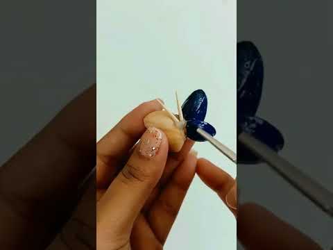 Pista Shell Craft 🤩