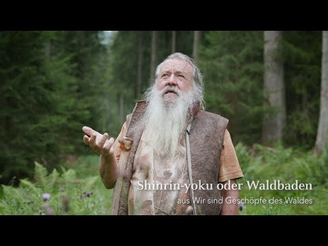 Shinrin-yoku oder Waldbaden, Wolf-Dieter Storl, 29.11.2019 ~ und ...