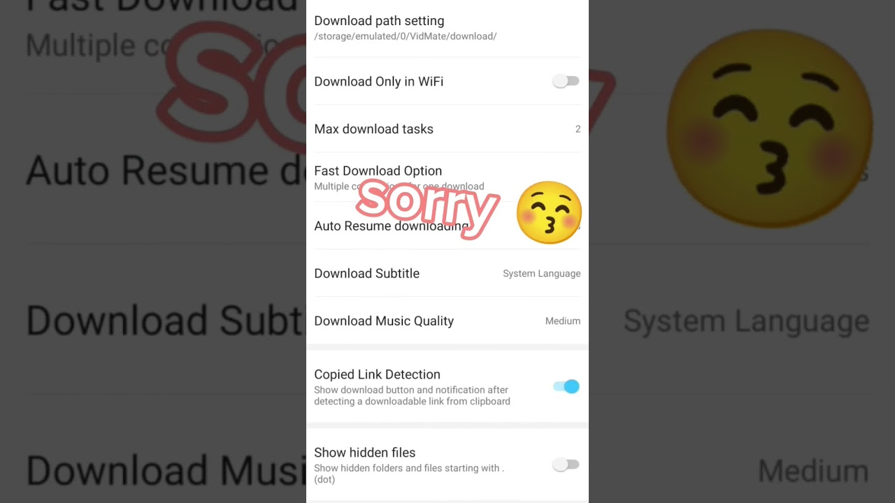 player doesn't support this video format .solve in 20sec