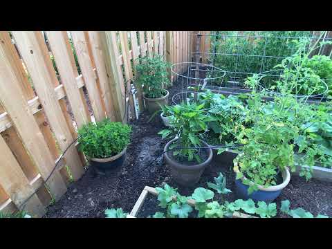 Paul Garden Irrigation System Overview