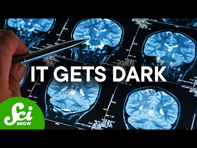 The Controversial Legacy of Einstein's Brain: What Studies Reveal About ...