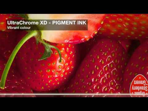 Epson SureColor SC-T series Product Video