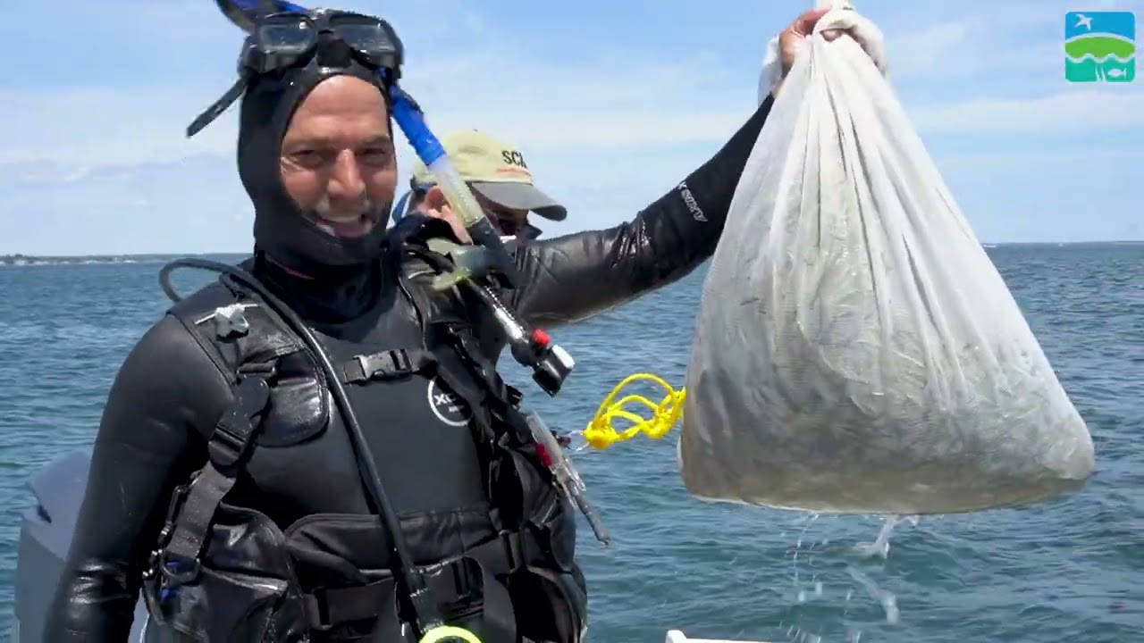A New Method to Eelgrass Restoration in the Long Island Sound - Full Film