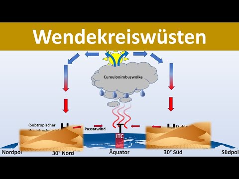 Wendekreiswüsten /Passatwüsten /Subtropische Wüsten [Erdkunde, Mittel- und Oberstufe]