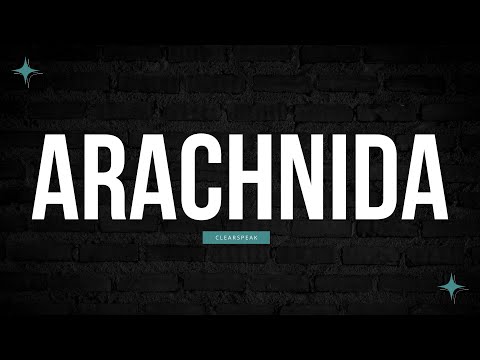 How to Pronounce Arachnida in English