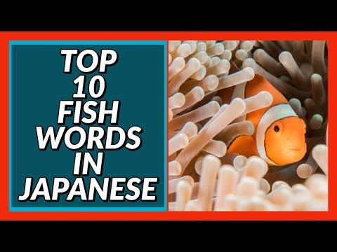 Top 10 Fish Words in Japanese! Beginner Conversation Series