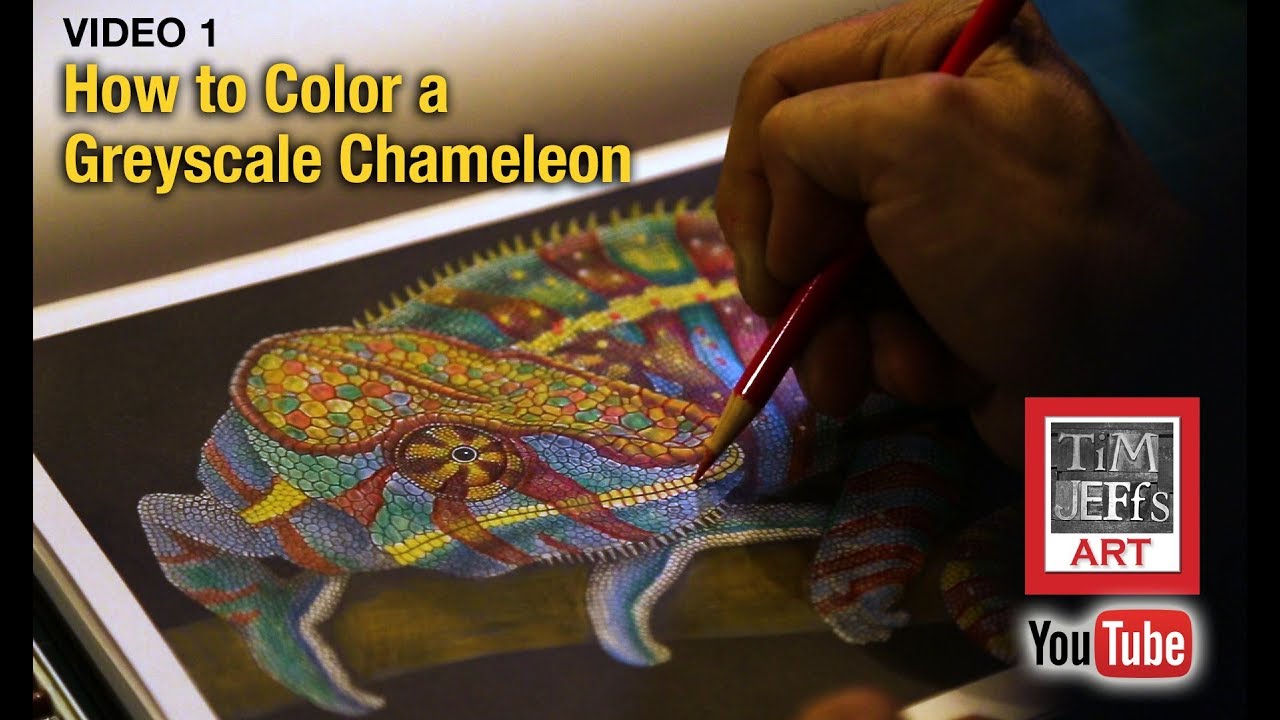 How to Color a Greyscale Chameleon by Tim Jeffs