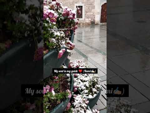 Wo Shah rag se bhi hai Andeek \\ Hazrat Muhammad jalaluddin Rumi quote✍🏻