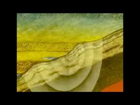 Seismic Wave Types
