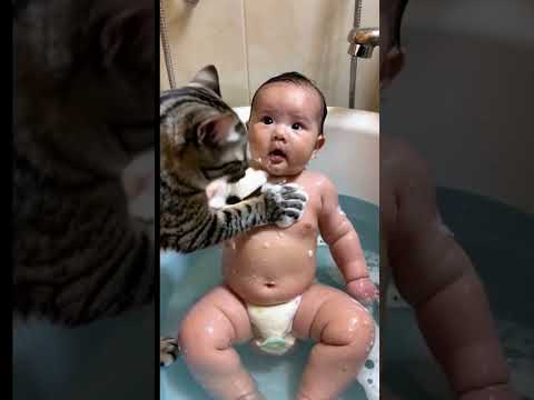 Cat bathes baby #cat #catvideos #cute