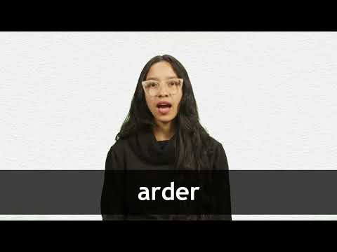 English Translation of “ARDER” | Collins Spanish-English Dictionary