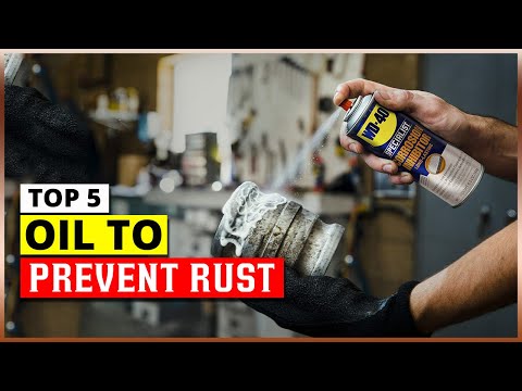 Best Oil To Prevent Rust Reviews 2025
