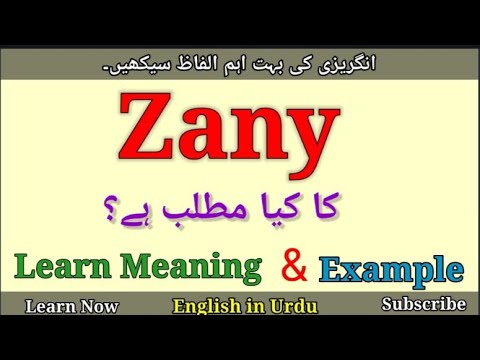 Zany Meaning in Urdu