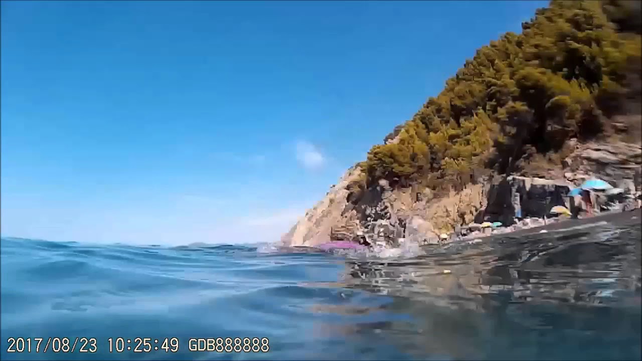 Foca a Punta Corvo