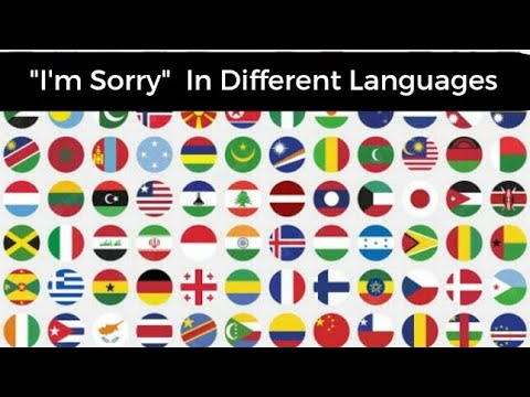 How To Say "I'm Sorry" In Different Languages Of The World