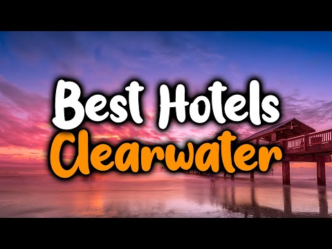Best Hotels In Clearwater, Florida - For Families, Couples, Work Trips, Luxury & Budget
