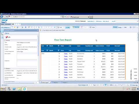 SAP Webi - Application Modes