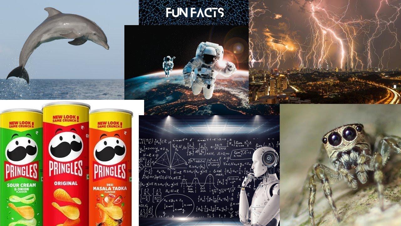 Fun Facts Ultimate Compilation