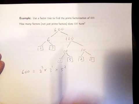 Factor Trees, Prime Factorization, and Counting Factors