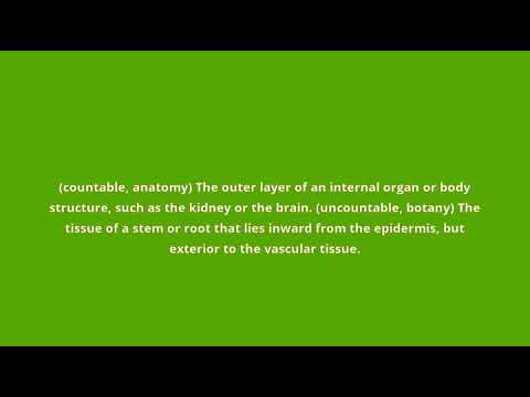 what is the meaning of cortex