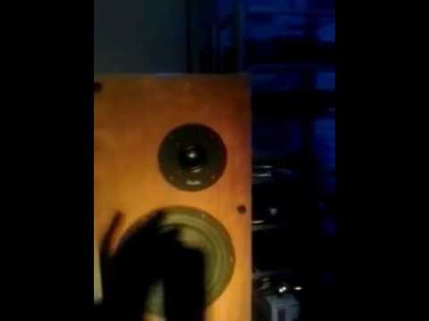 FROGG CAFE Part 1 & ProAc Response 3.8