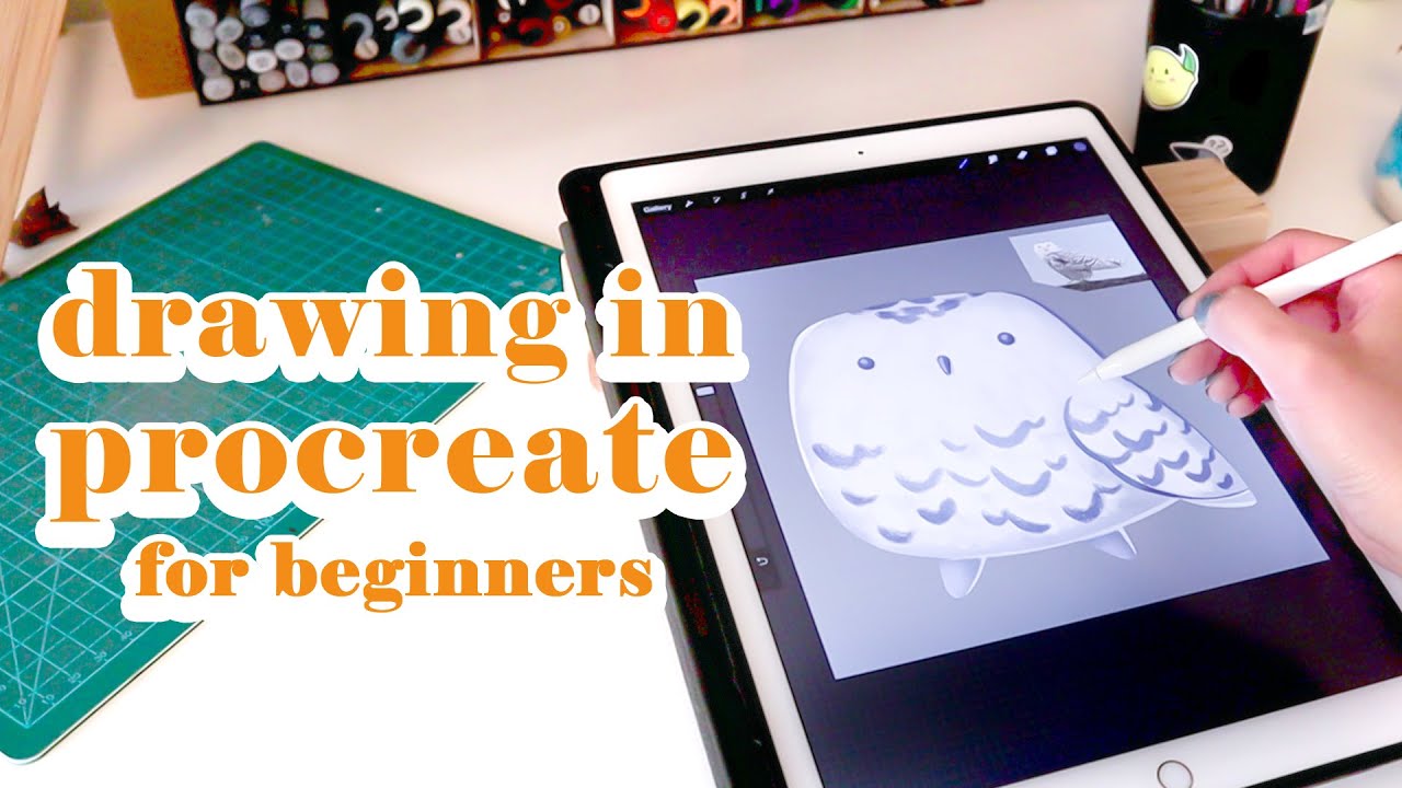 how to draw an owl ✿ my drawing process in Procreate for beginners with some tips and tricks
