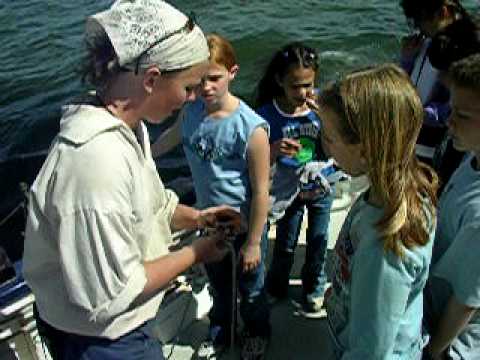 erin teaching