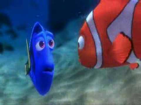 Alla ricerca di Nemo | MediterraneaPassione