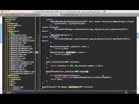 NPAPI tutorial 4 part 2