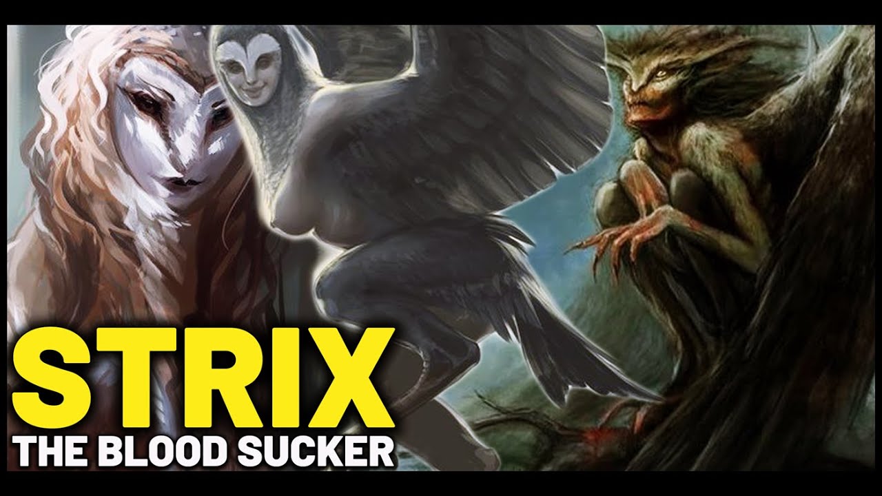 STRIX: THE DEMON THAT NEVER SLEEPS