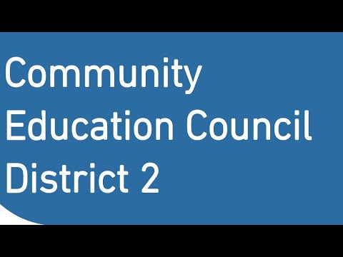 CEC D2 Working Business Meeting - June 29, 2020