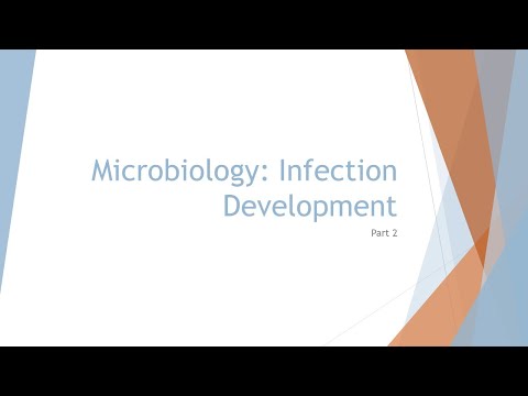 Microbiology Basics: The 6 Elements of an Infection
