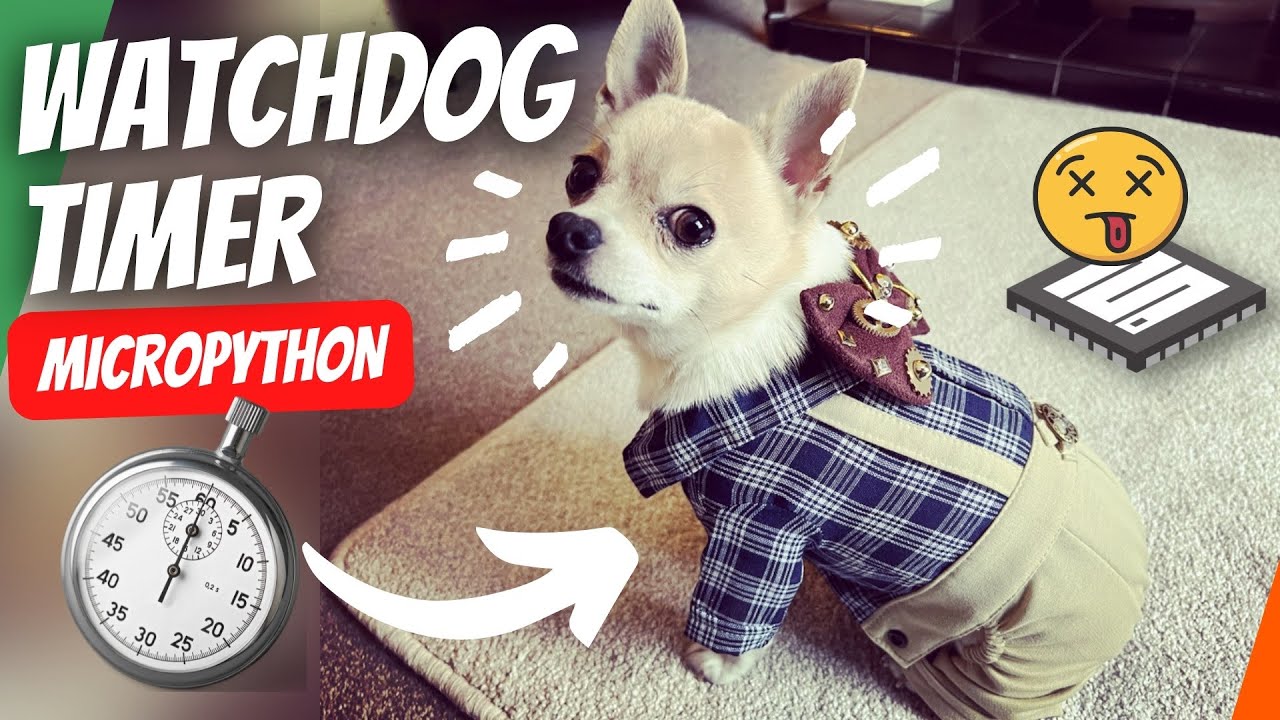 Watchdog Timer - What is it, and how to use it in MicroPython