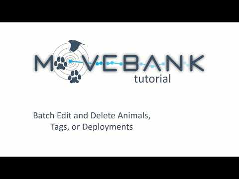 Tutorial: Batch Edit and Delete Tags, Animals, and Deployments