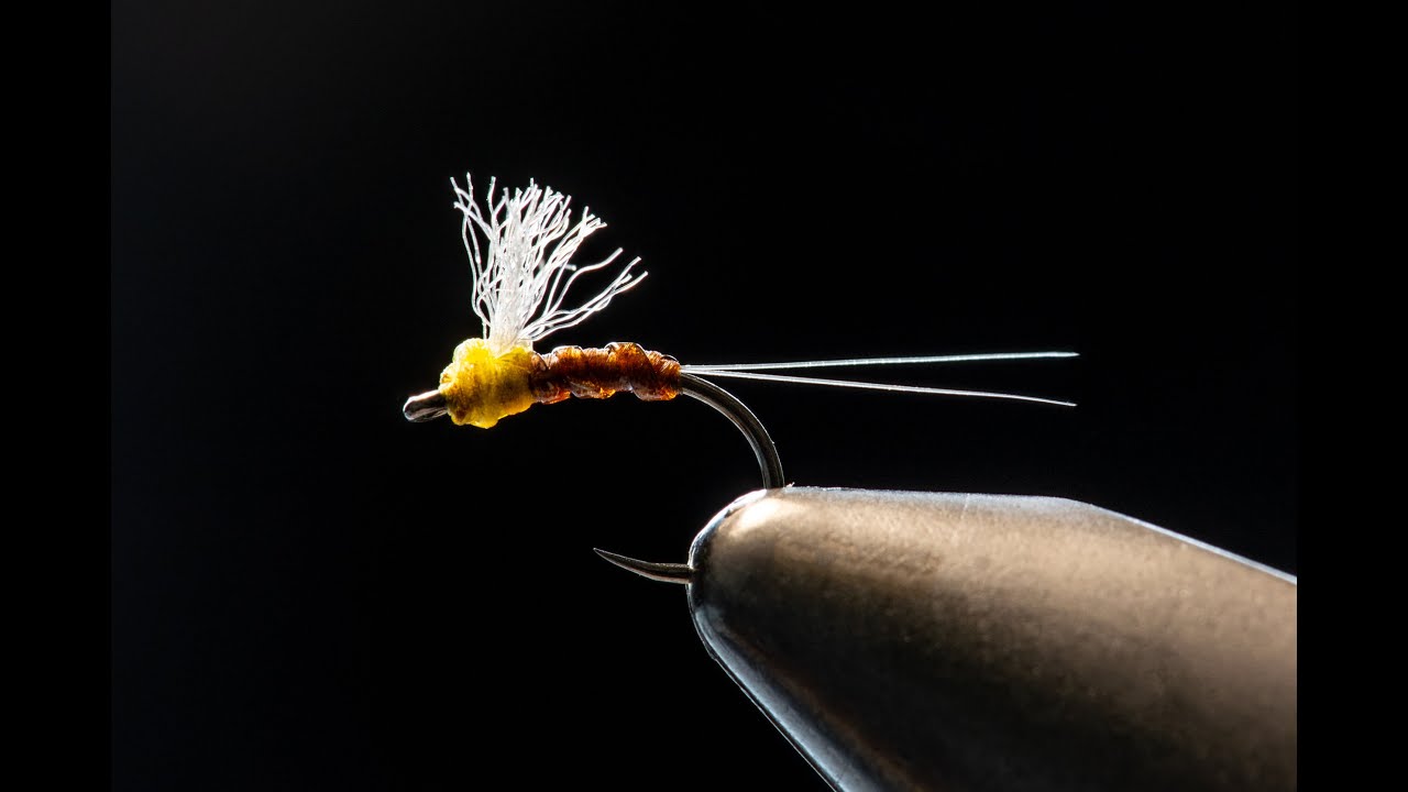 A Easy BWO-Baetis, PMD fly pattern.