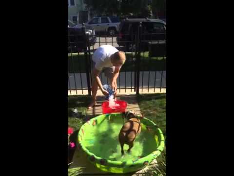 Bryan Bickell Ice Bucket Challenge for ALS