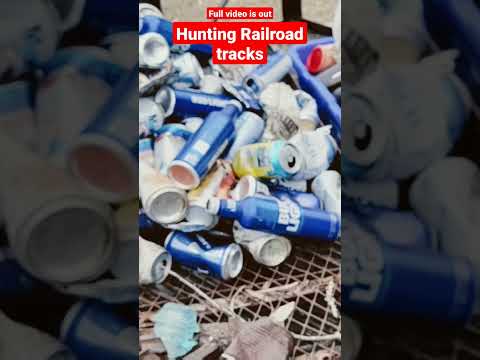 Treasure hunting railroad tracks for scrap metal and antiquities