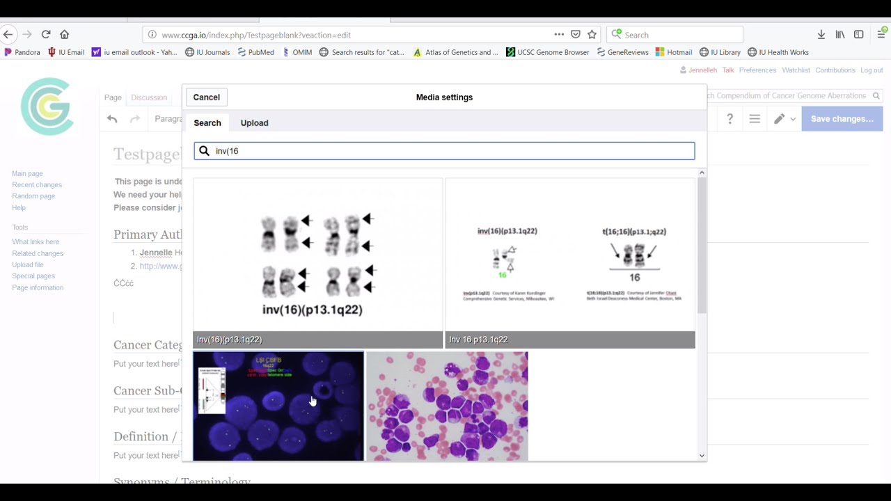 Tutorial: Creating Content in the CCGA