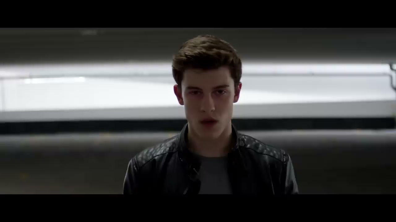 Shawn Mendes - Stitches Lyrics And Videos