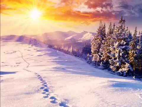 Учебник вслух - Н. Некрасов "Не ветер бушует над бором" (Из поэмы ...