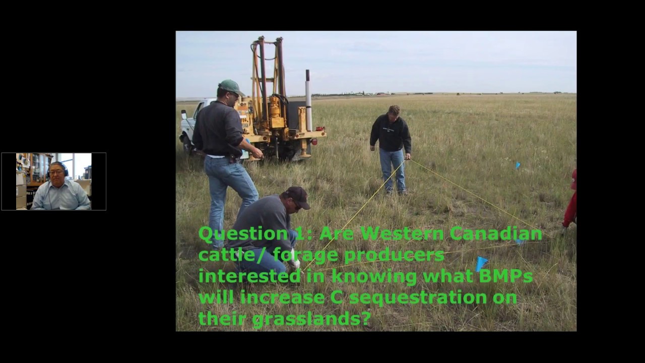 Managing native forages